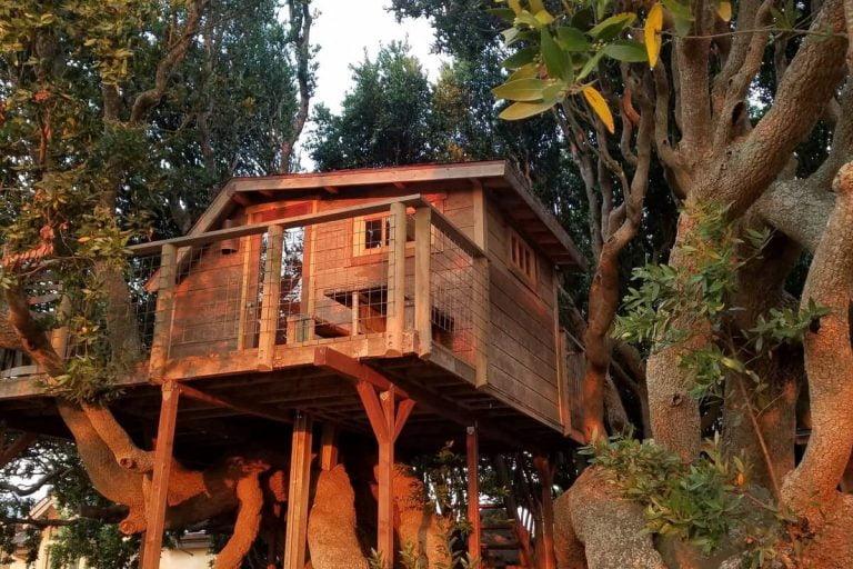 10 Magical Treehouse Rentals in California - Domaine Daily