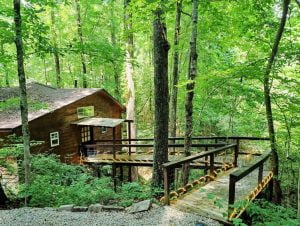 23 Dreamy Treehouse Glamping Rentals You Need to Experience - Domaine Daily