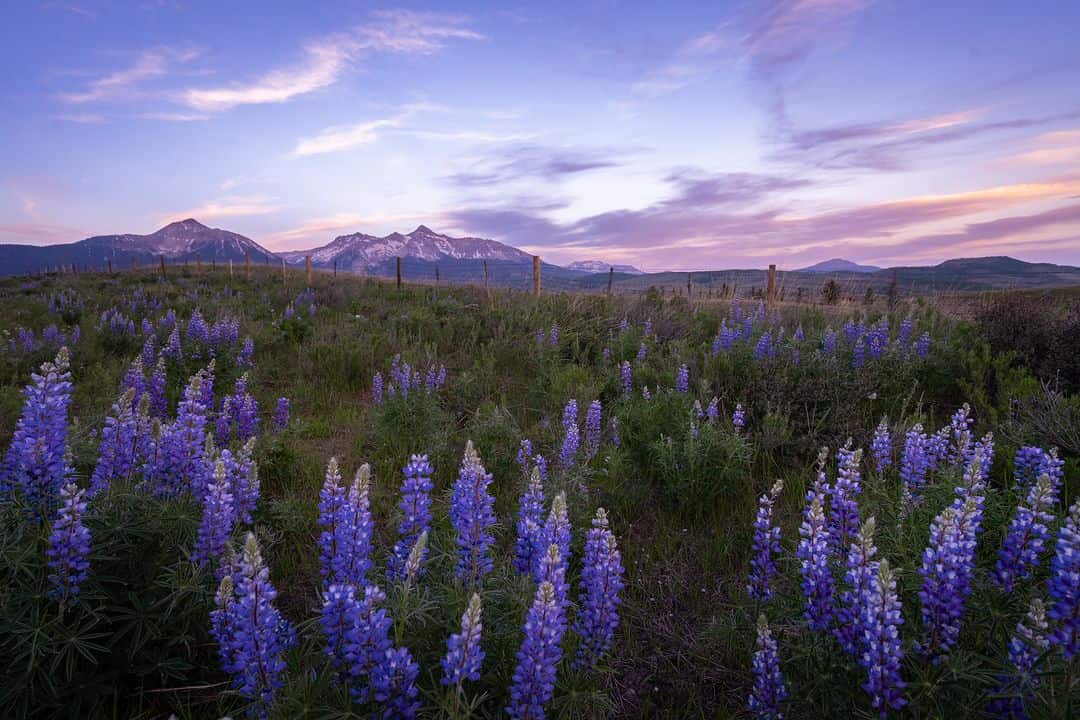 Rocky Mountain Highs: The Best Weekend Getaways in Colorado - Domaine Daily