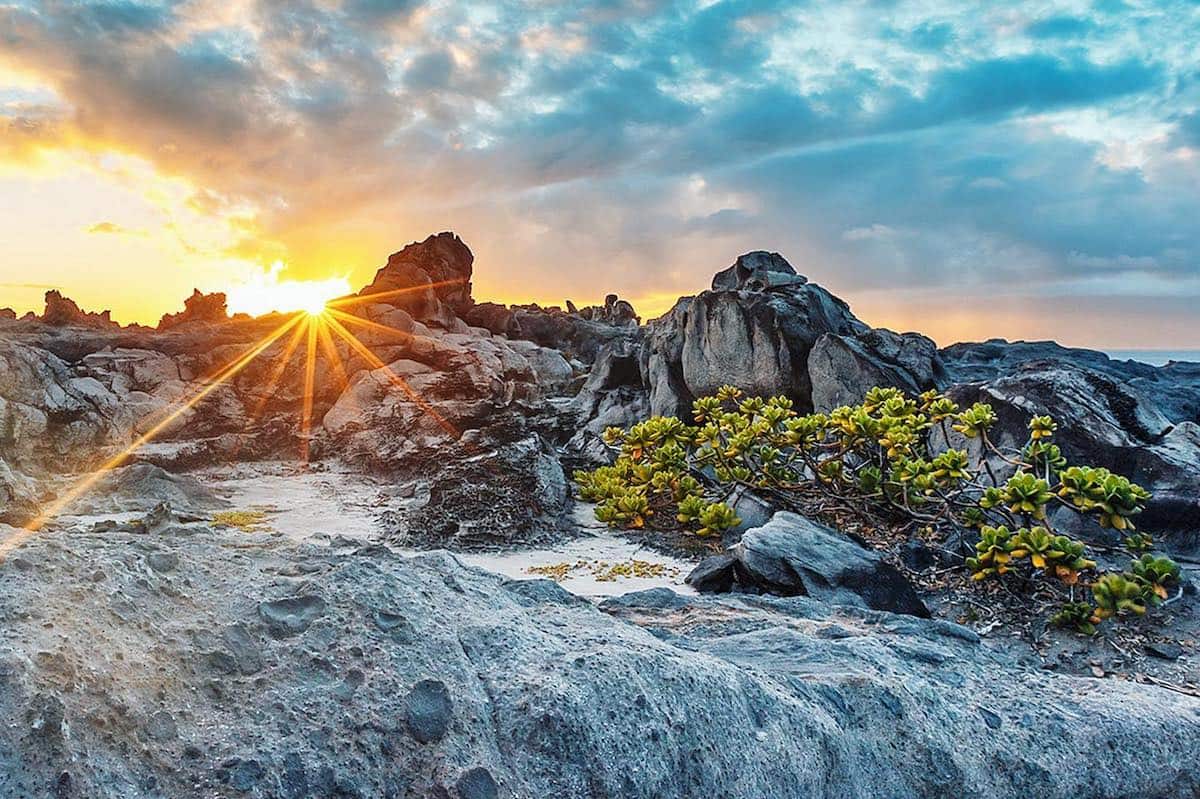8 Best Hikes in Maui: A Guide to the Most Spectacular Trails - Domaine ...