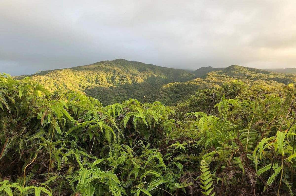 8 Best Hikes in Maui: A Guide to the Most Spectacular Trails - Domaine ...