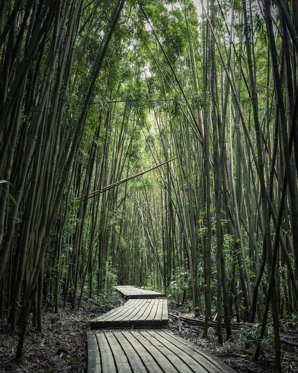 8 Best Hikes in Maui: A Guide to the Most Spectacular Trails - Domaine ...